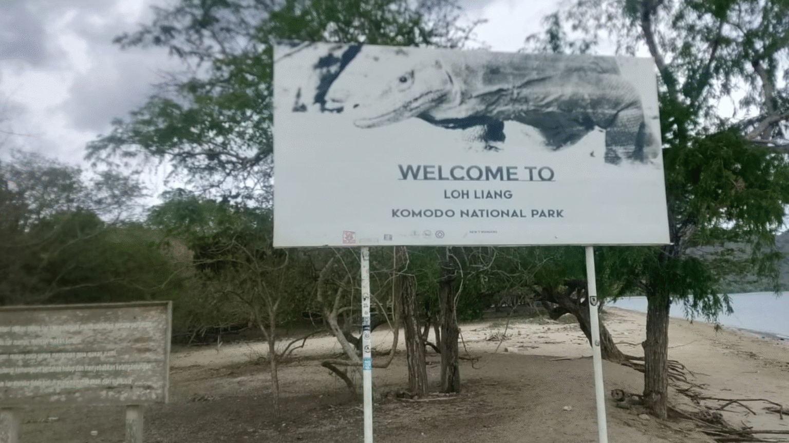 Crinoid Canyon: A Hidden Underwater Gem in Komodo National