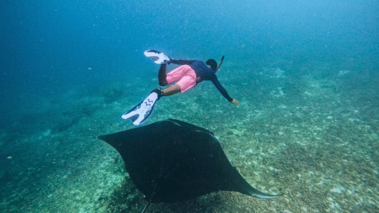 Komodo Manta Ray Cruise: Swimming with Giants in Komodo